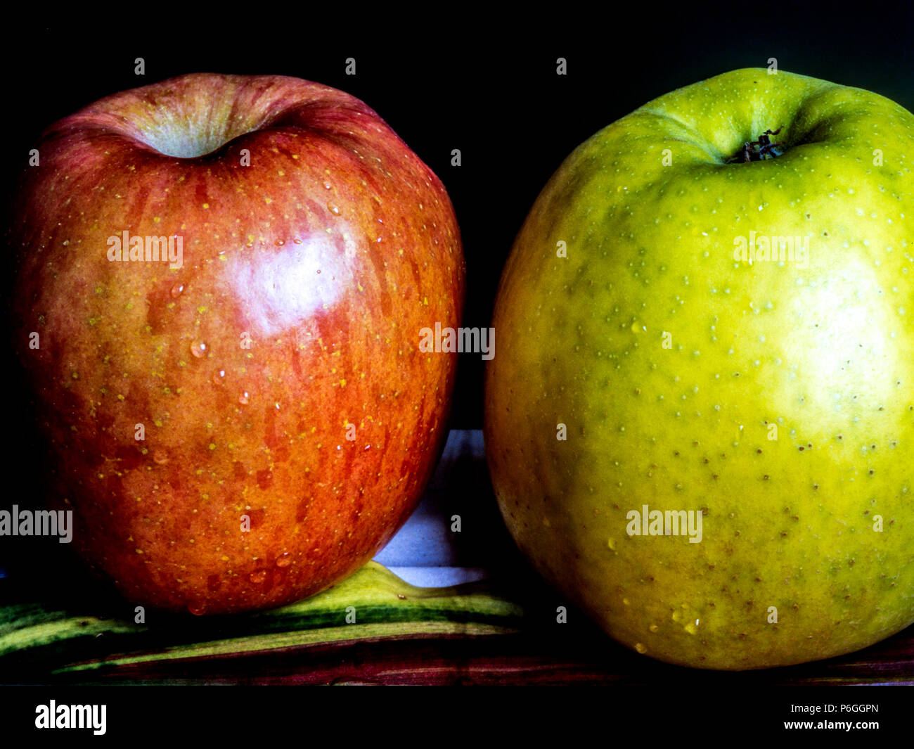 Two apples on table with black background, Granny smith and Gala Stock ...