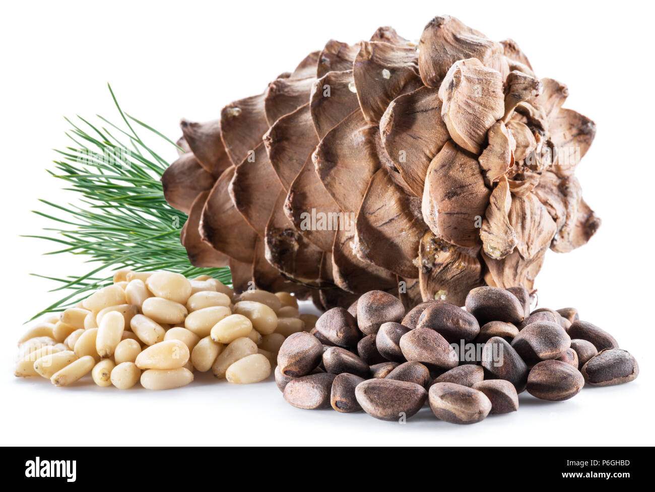 Pine nut cone and pine nuts on the white background. Organic food Stock ...
