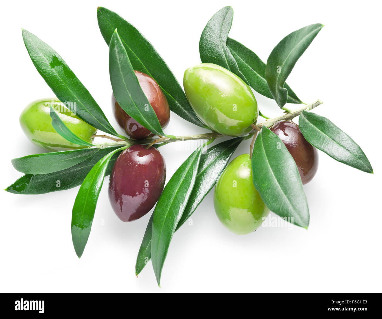 Olive branch with olive berries isolated on white background Stock ...