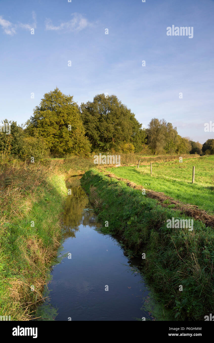 Ditch in the valley of the Beerze Stock Photo - Alamy
