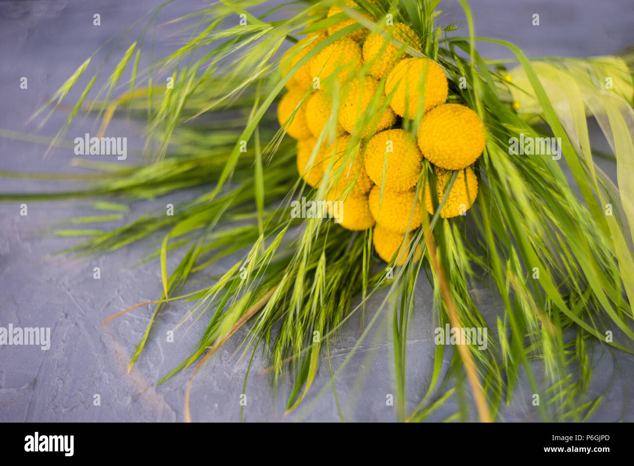 Beautiful yellow billy balls or craspedia flowers in bride bunch on ...