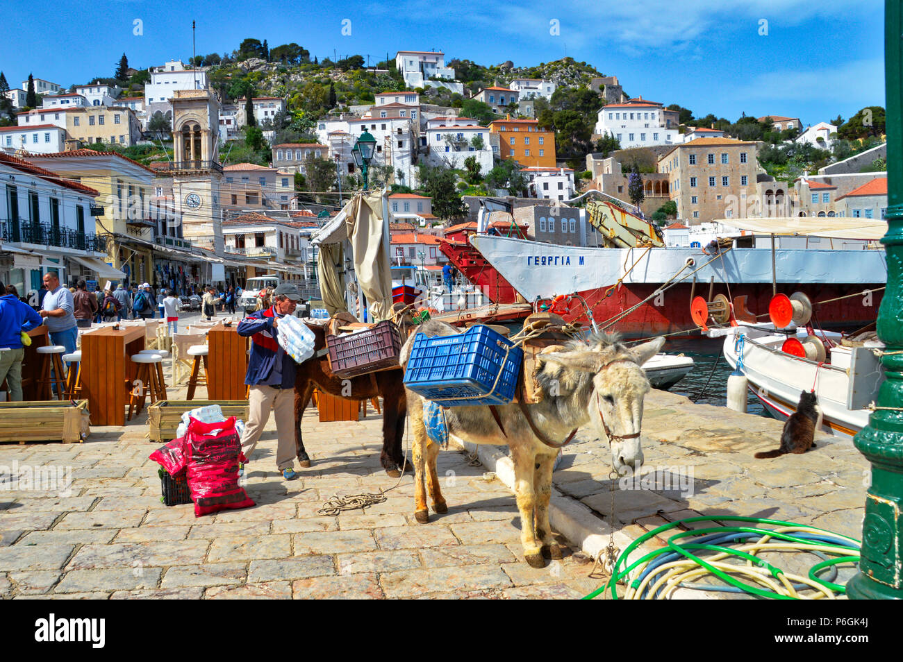 Donkey delivery service Stock Photo - Alamy