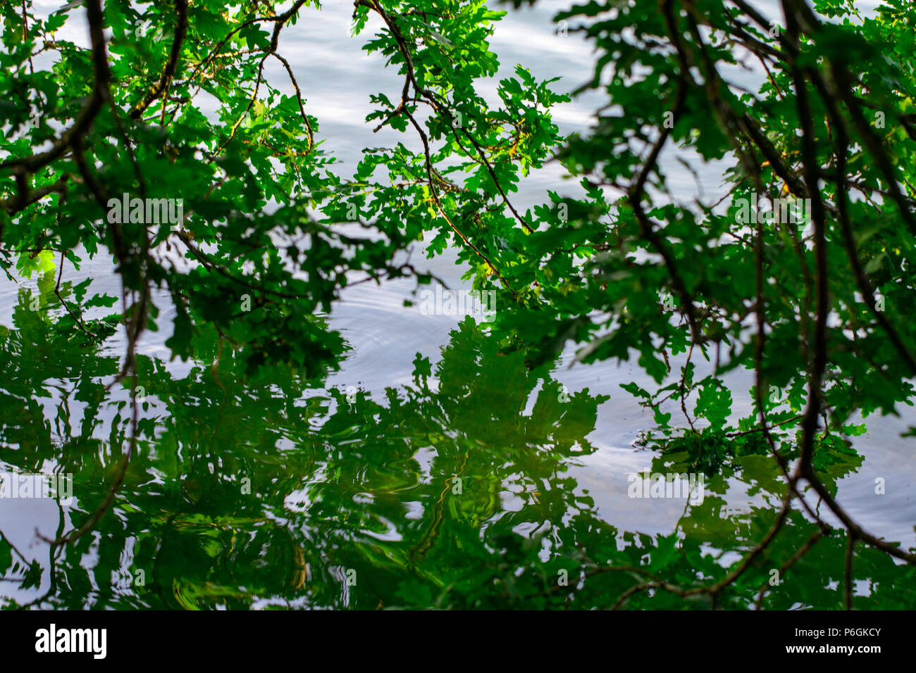 Hangingoverwater hi-res stock photography and images - Alamy