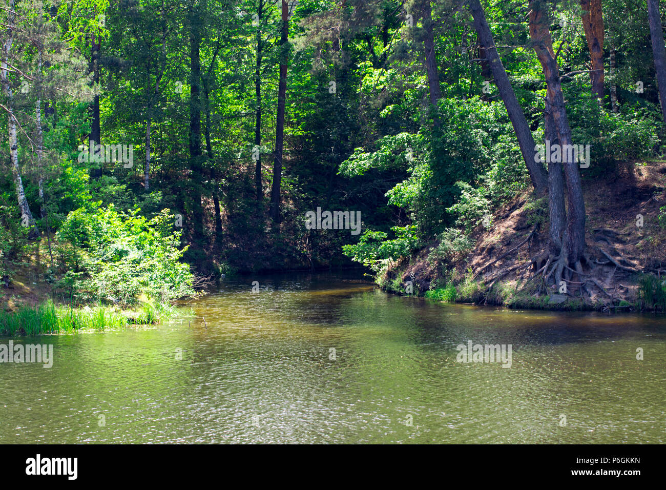 landscape with, forest and a river in front. beautiful scenery Stock ...