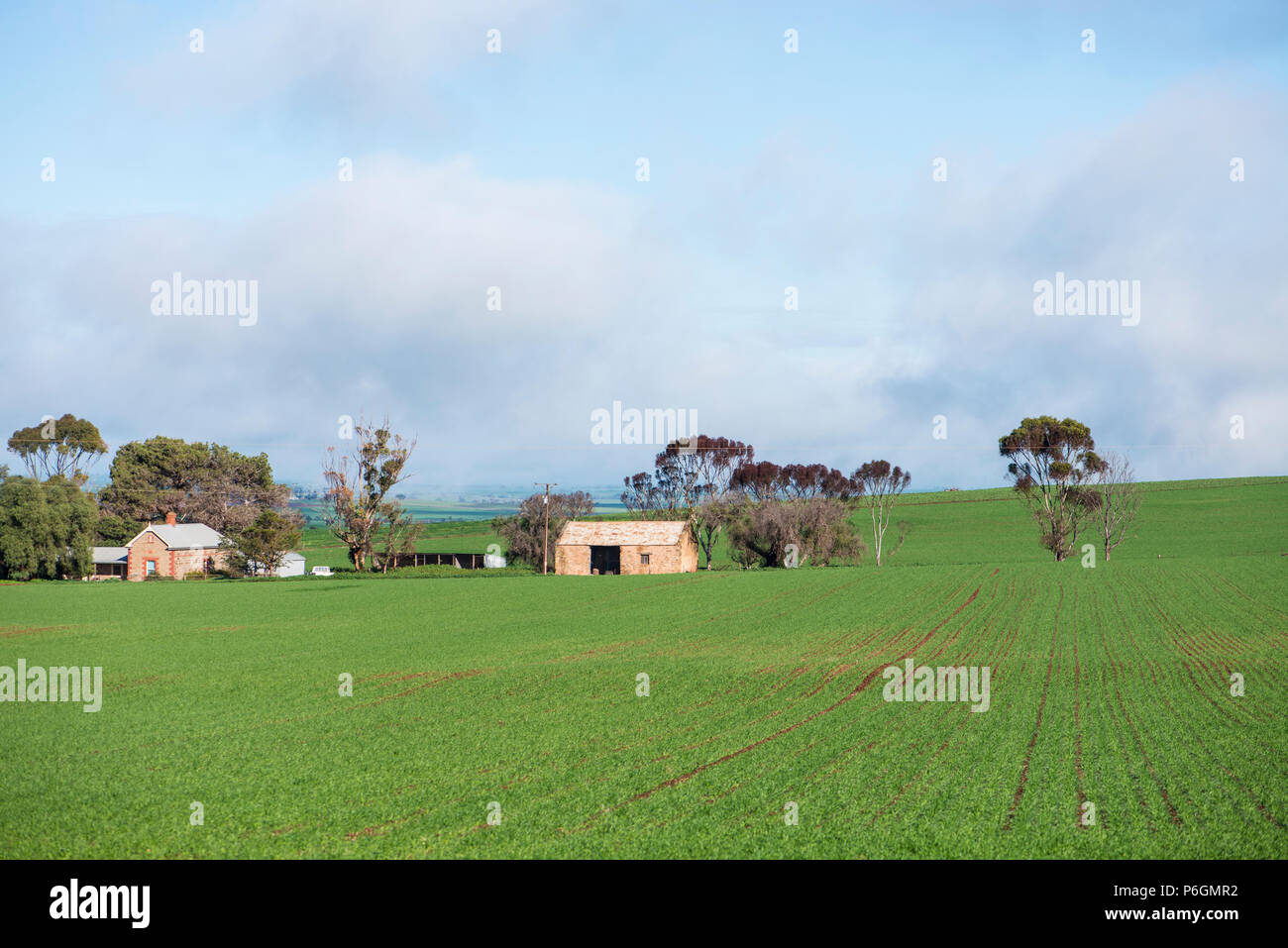 Farmhouse and pasture, SA Stock Photo - Alamy