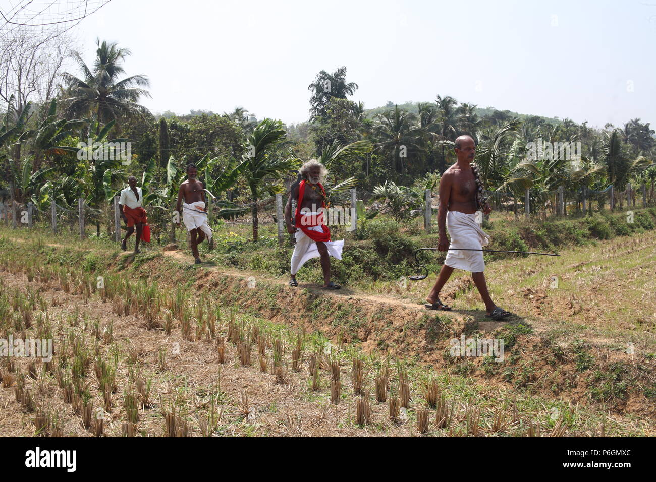 para eduppu is a custom popular in kerala bhagavathi temples ...