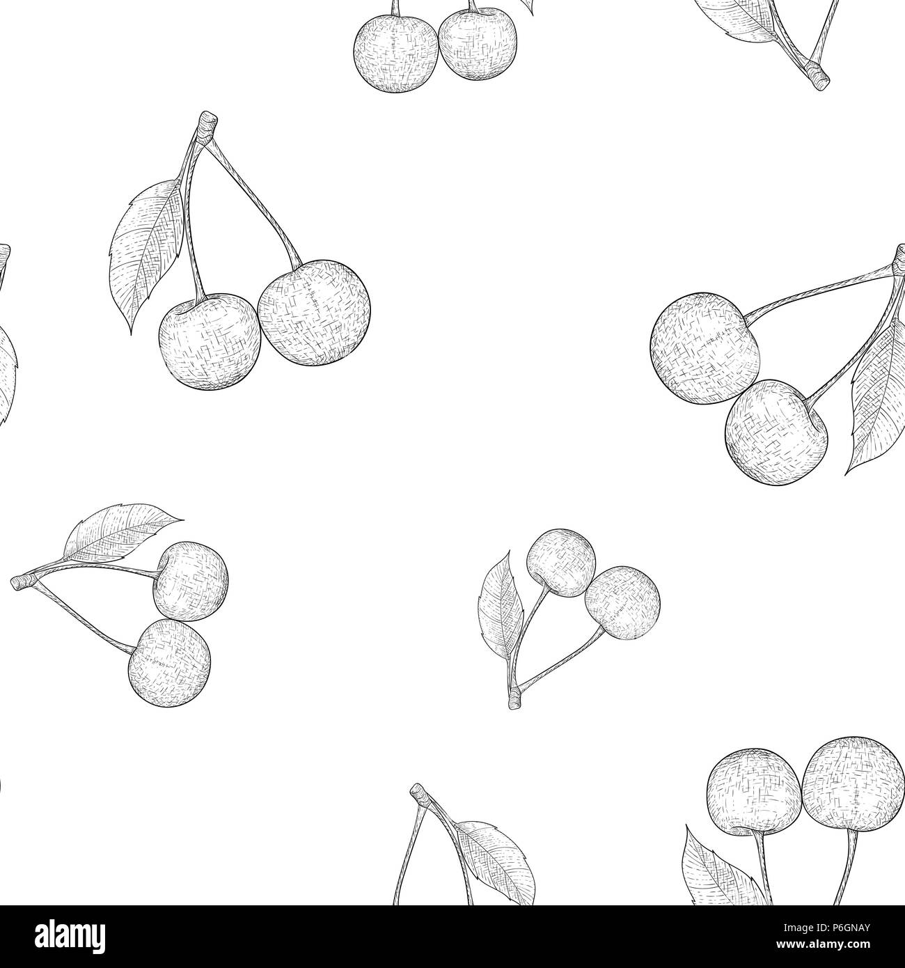 Cherries. Outline hand drawn sketch. Seamless pattern Stock Vector ...