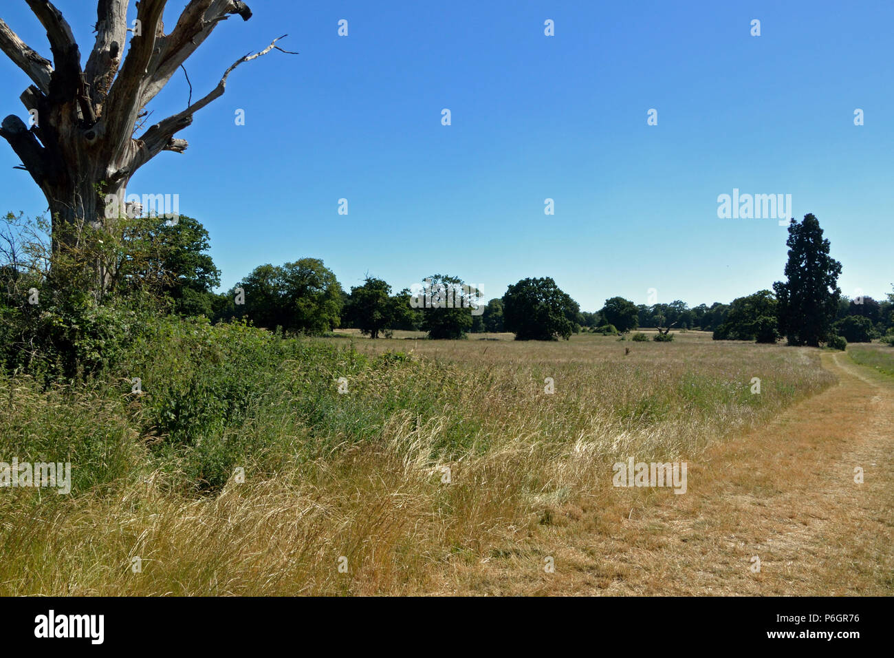 Catton Park, Norwich, Norfolk, Humphry Repton's first landscape ...