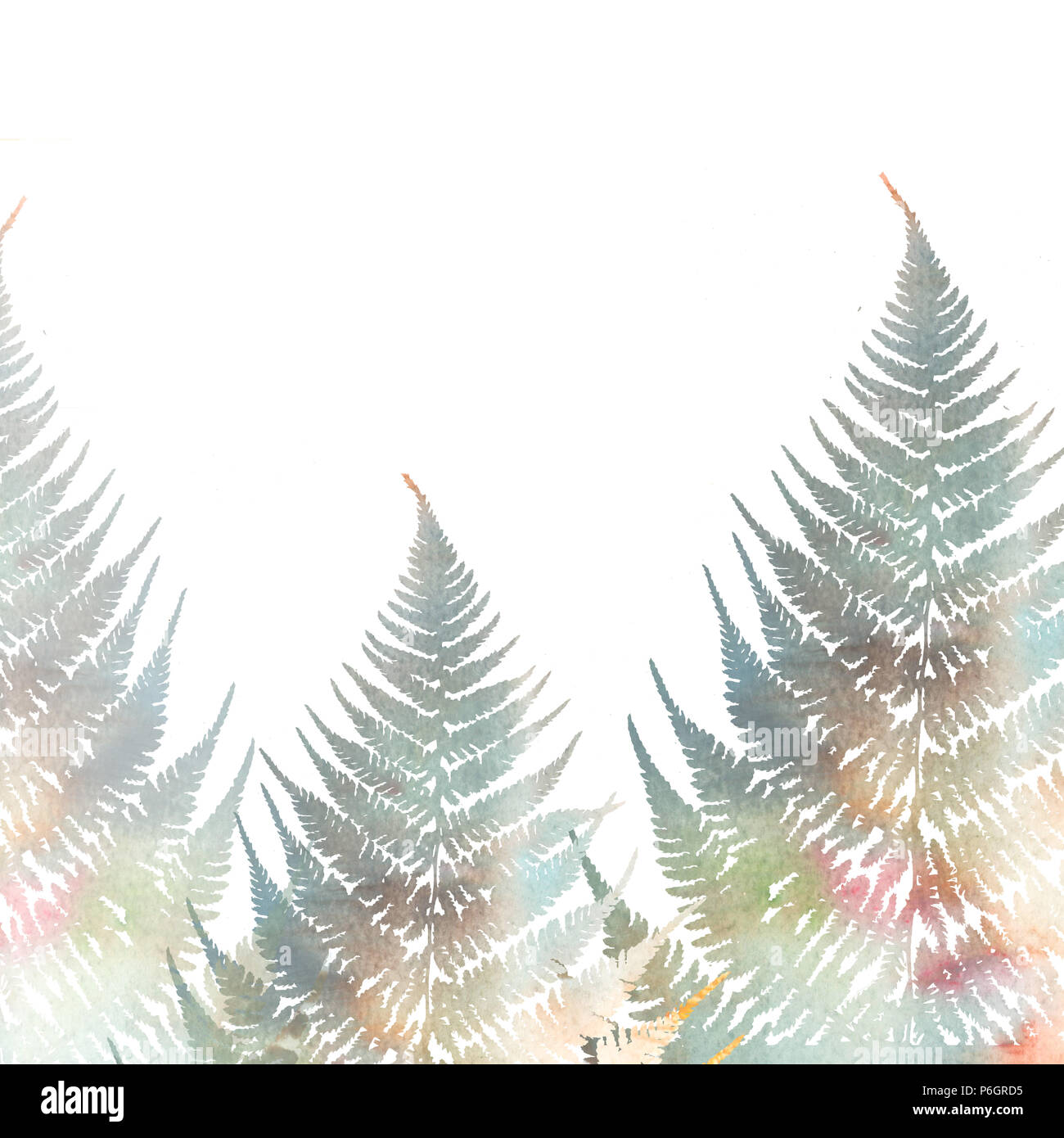 Illustration of fern leaves on white background. Foliage design ...
