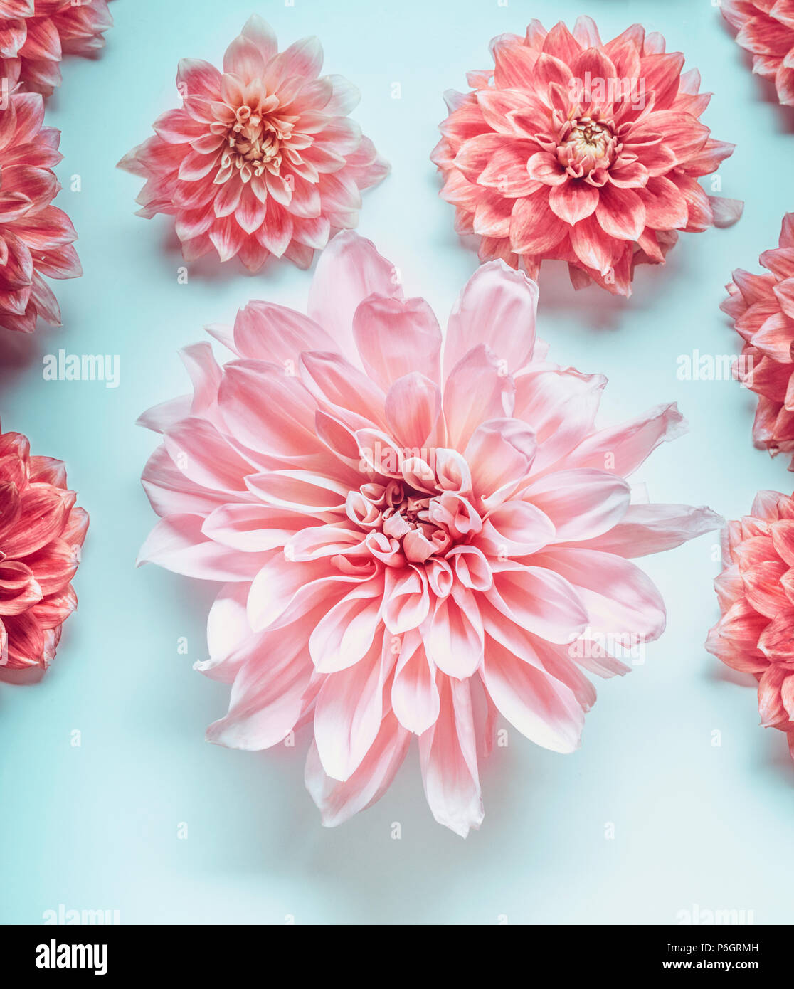 Turquoise Pink Flower Wallpaper
