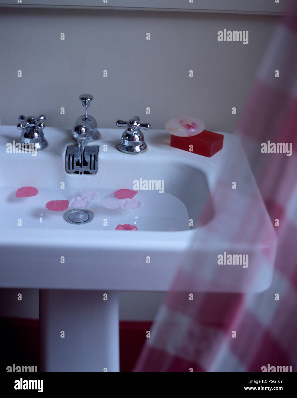 Rose petals floating in white pedestal basin with chrome taps Stock ...