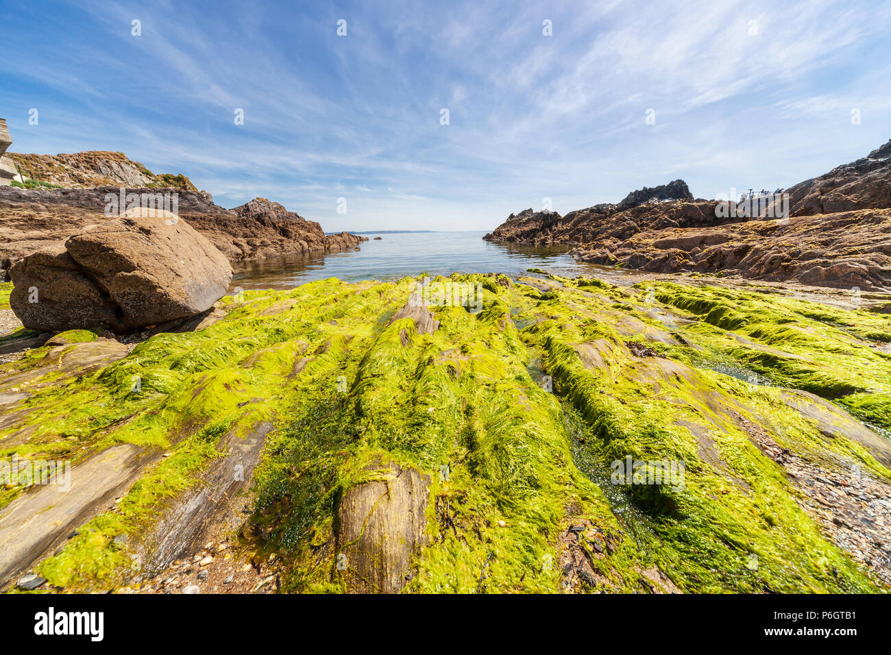 rocks on seashore covered in seaweed Stock Photo - Alamy