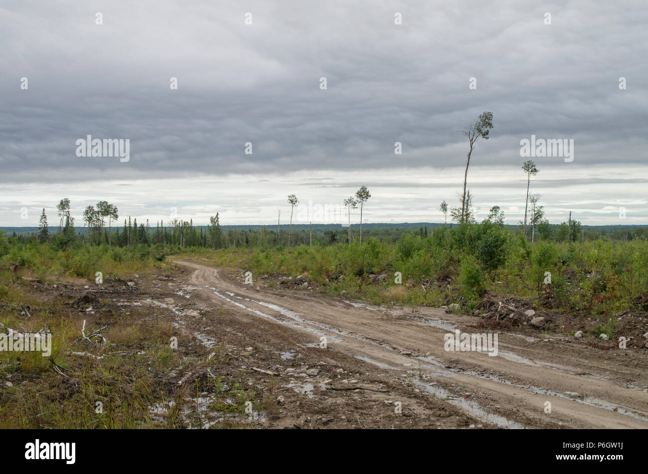 Logging ontario hi-res stock photography and images - Alamy