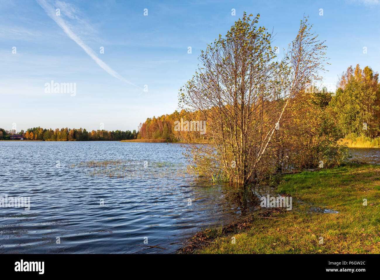 Autumn over the lake. Beautiful rural fall landscape Stock Photo - Alamy