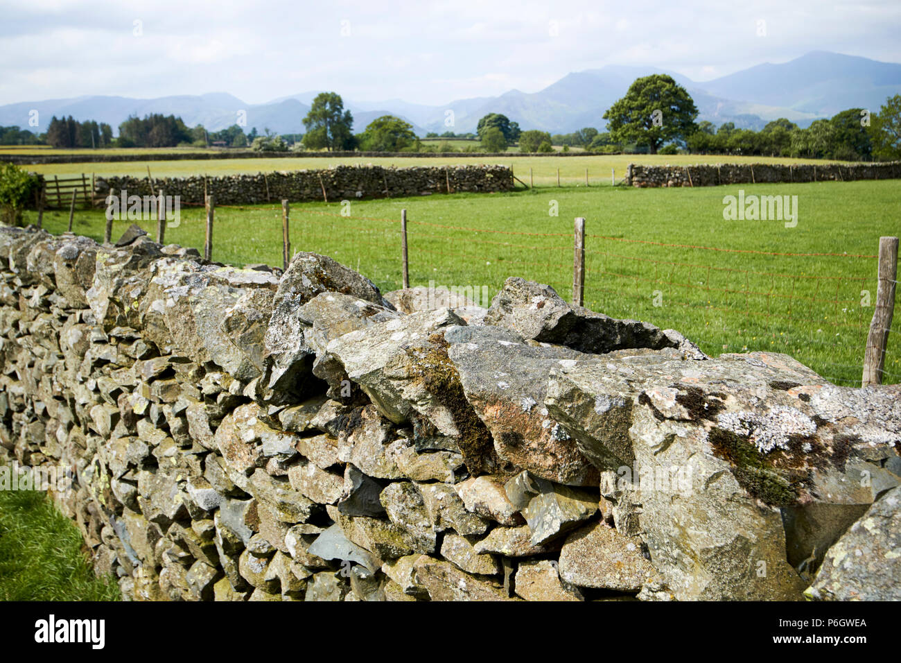 lake district slate stone dry stone wall field boundary underskiddaw ...