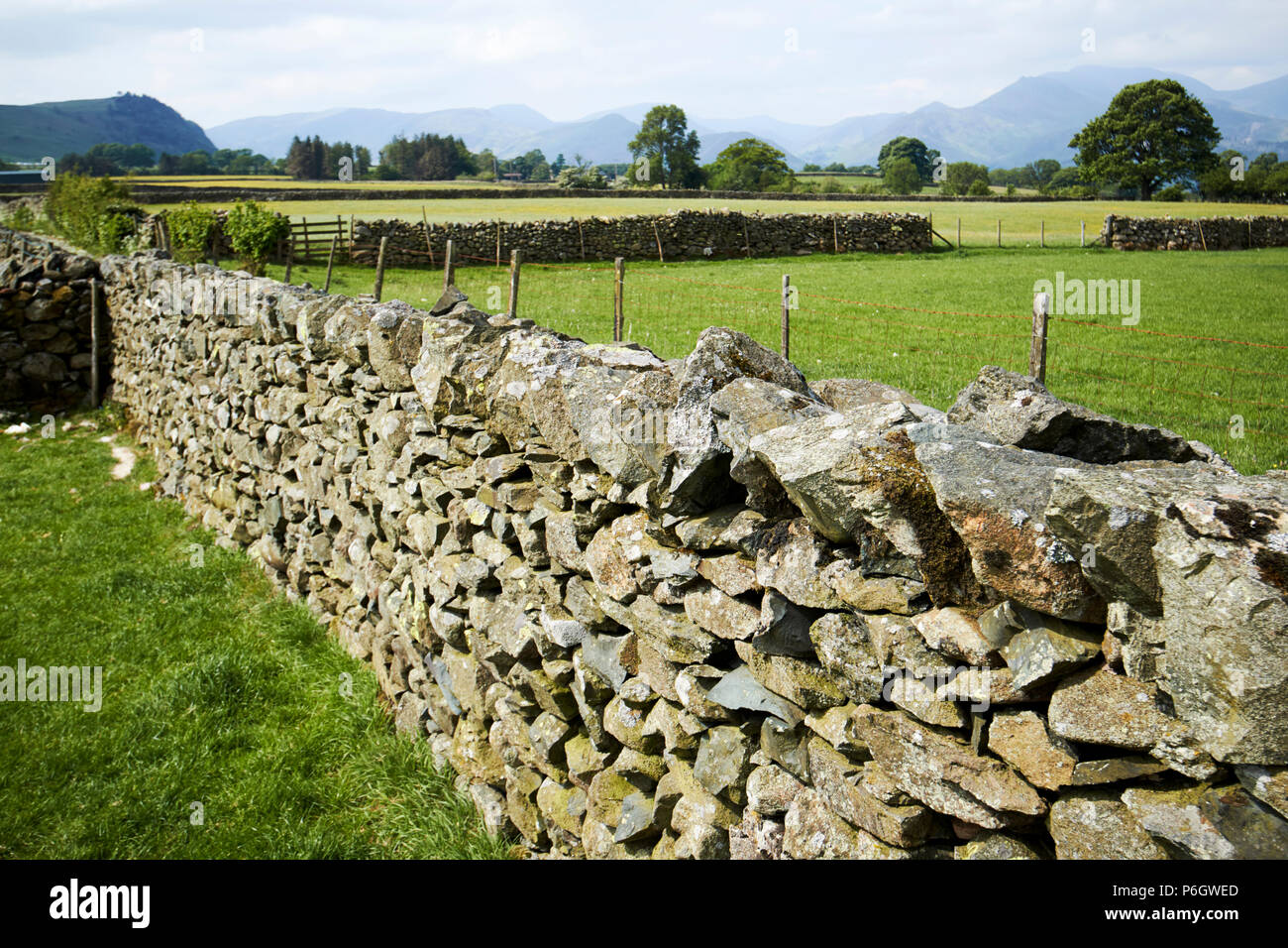 lake district slate stone dry stone wall field boundary underskiddaw ...