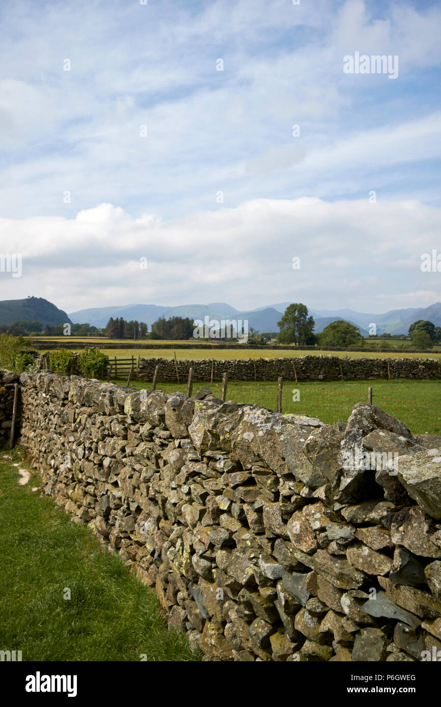 lake district slate stone dry stone wall field boundary underskiddaw ...