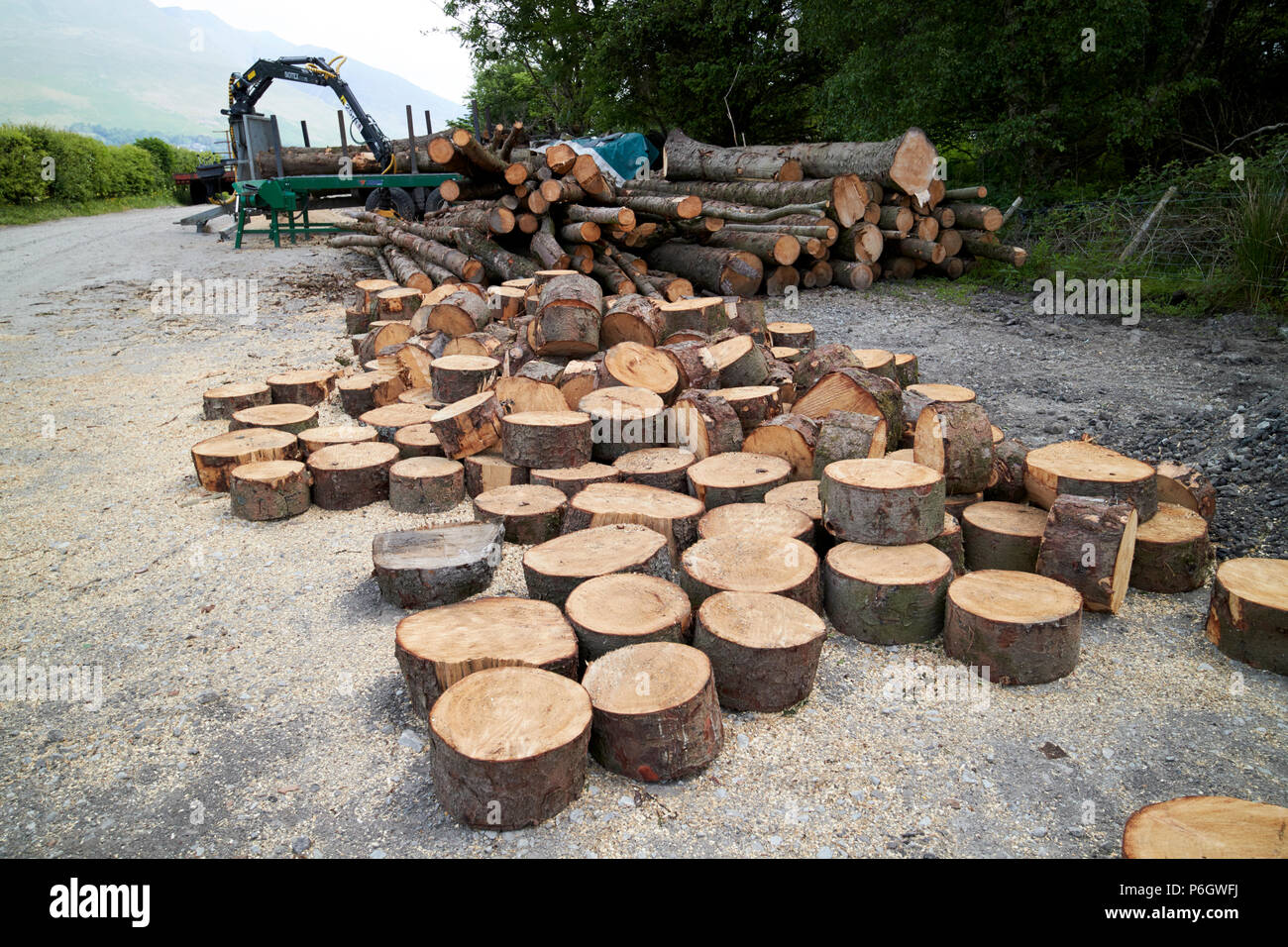 sawn cut wood slices in the cumbria england uk Stock Photo - Alamy
