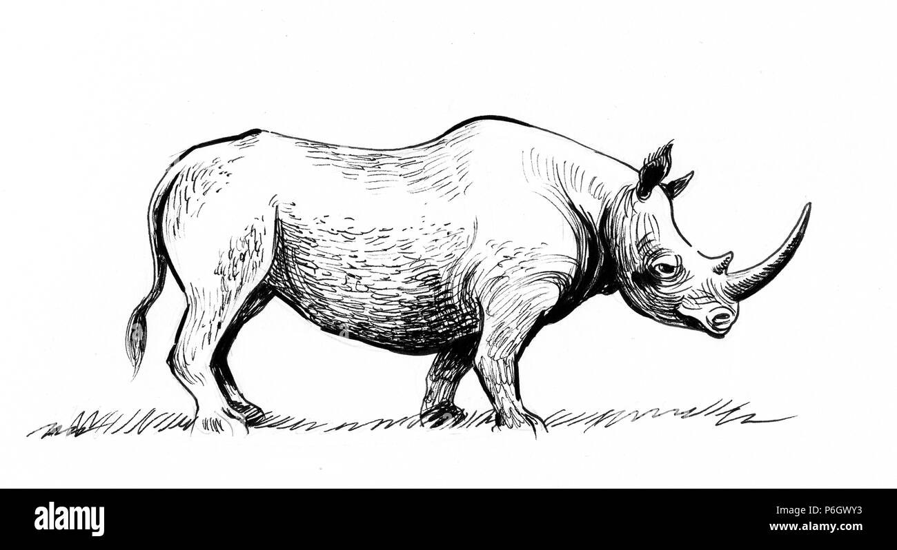 Rhinoceros animal. Ink black and white illustration Stock Photo - Alamy