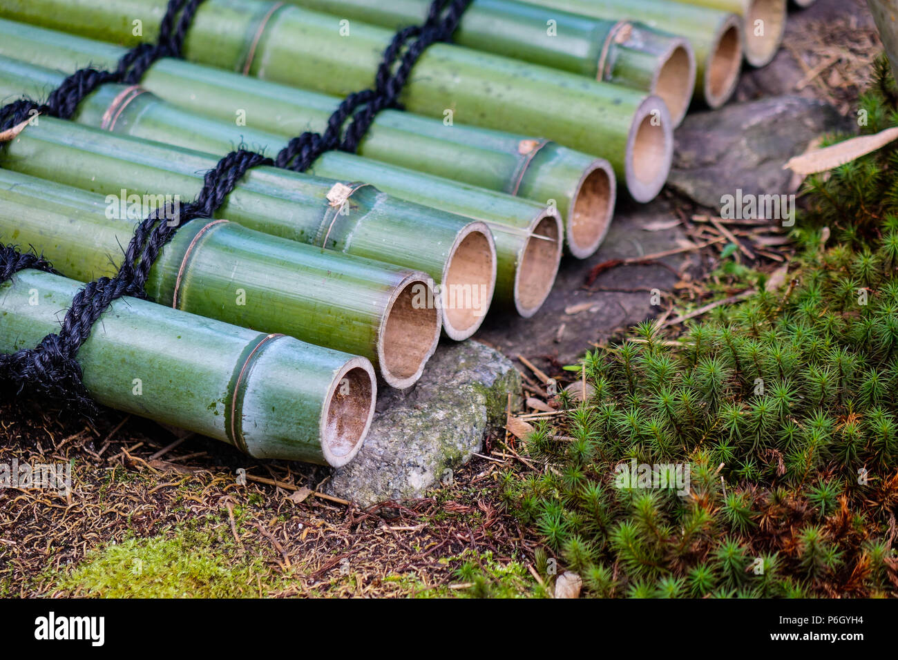Bamboo for decorations at Japanese garden in summer time Stock Photo ...