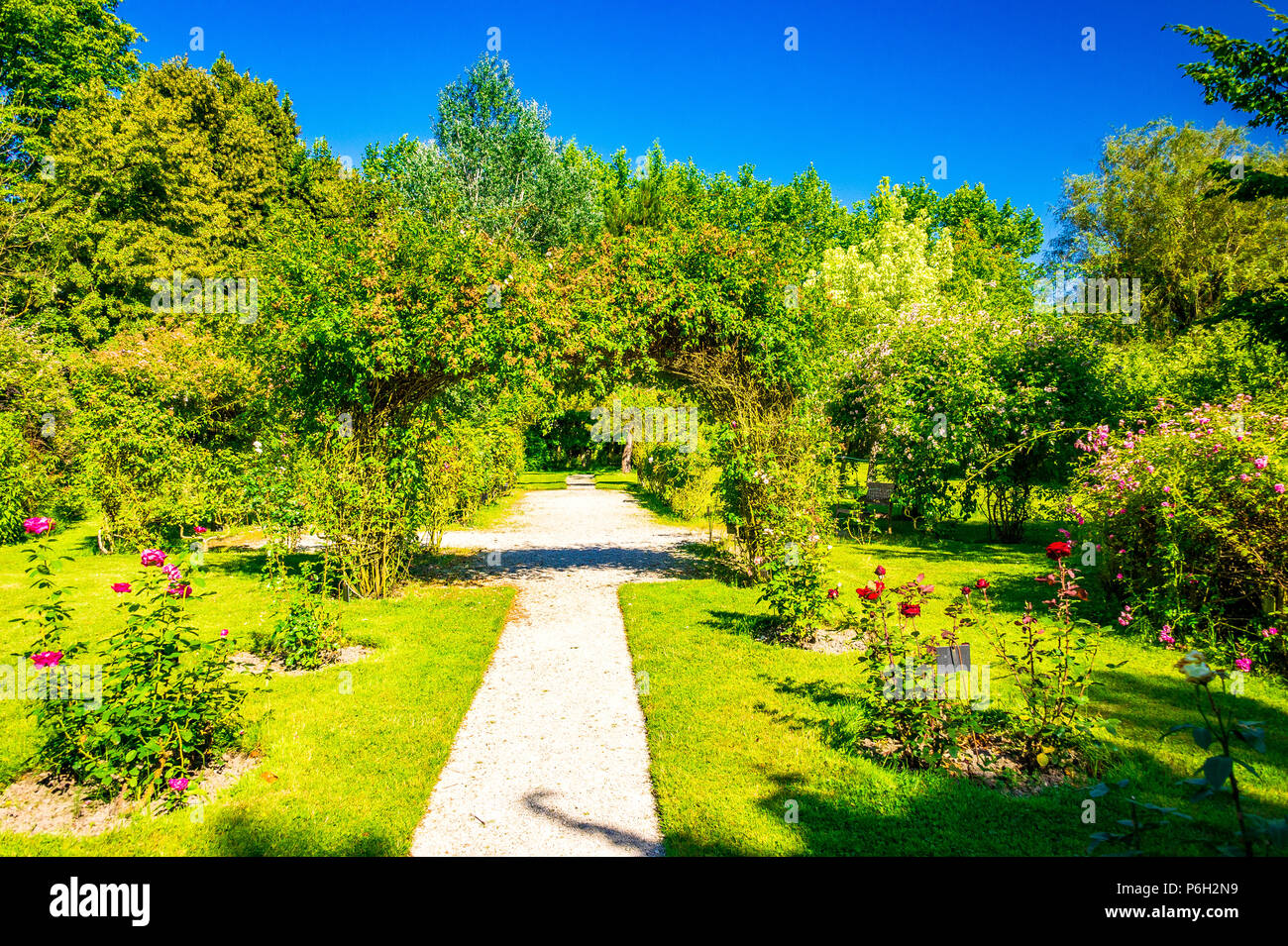 The Rose Garden in Provins, France Stock Photo - Alamy
