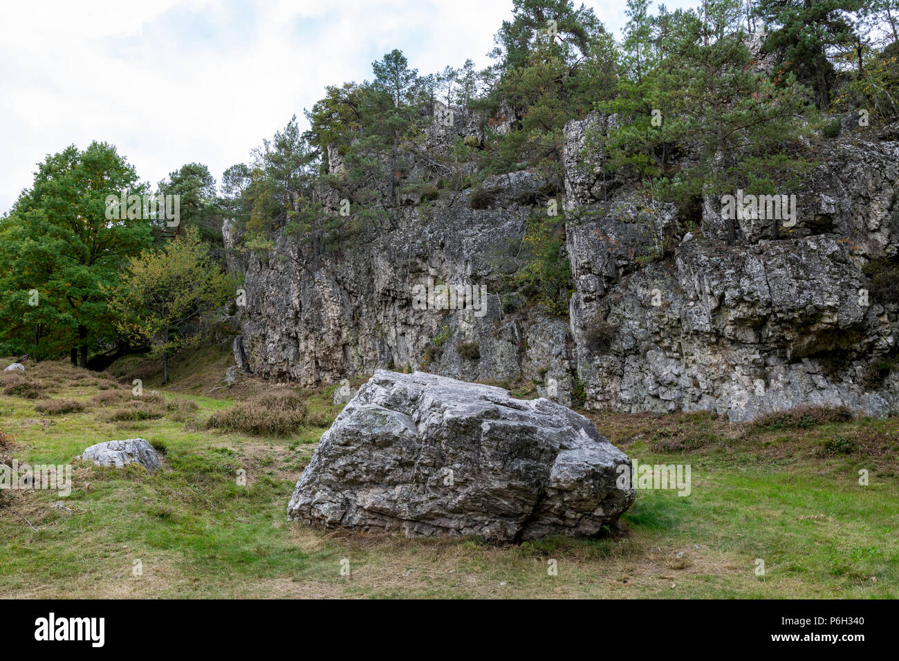 Big Rock on a field with trees in the bavarian forest Stock Photo - Alamy