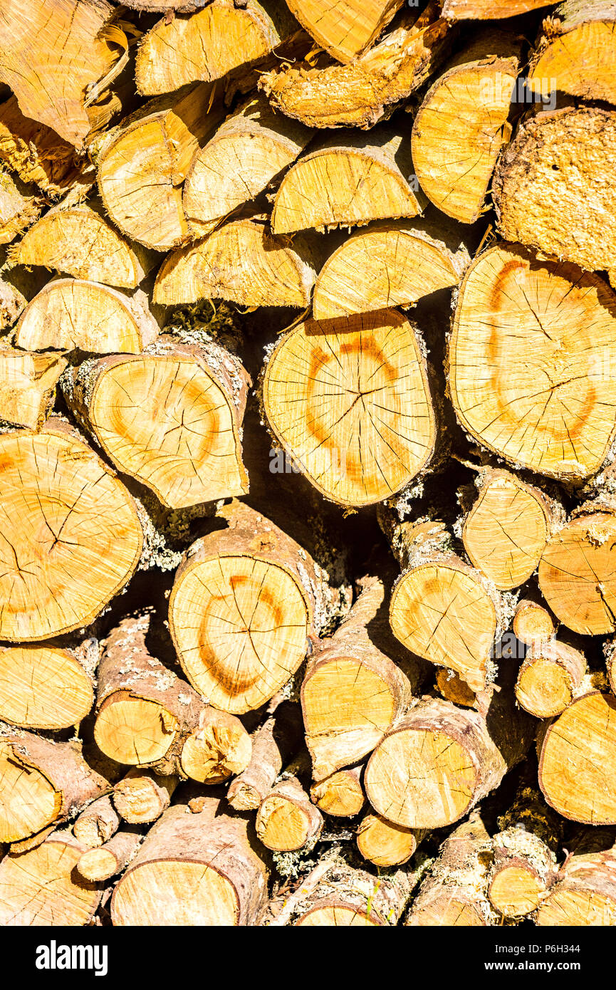 Stack of chopped logs of wood Stock Photo - Alamy