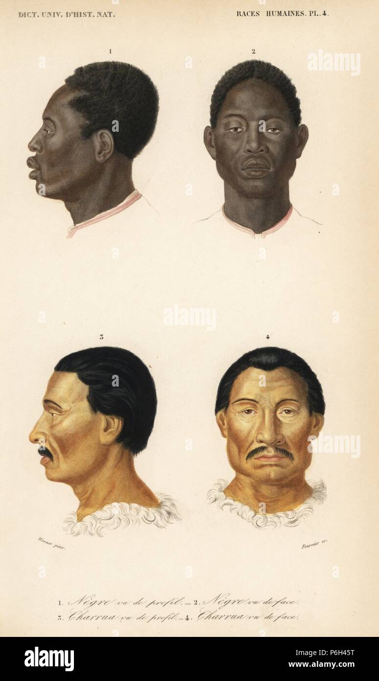 Charrua hi-res stock photography and images - Alamy