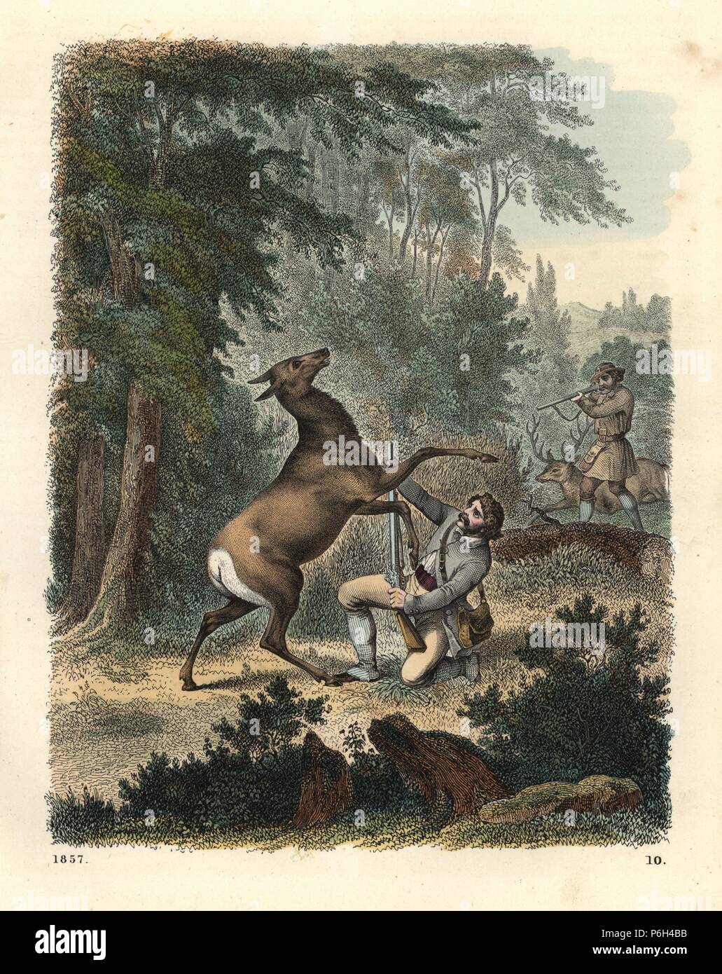 German hunters hunting deer attacked by doe. Handcoloured lithograph ...