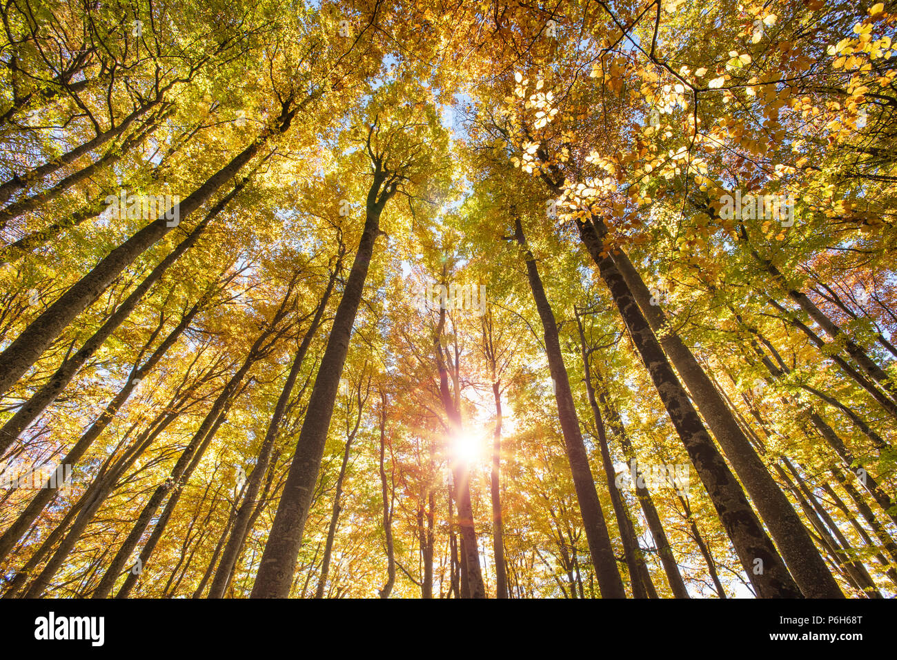 October background hi-res stock photography and images - Alamy