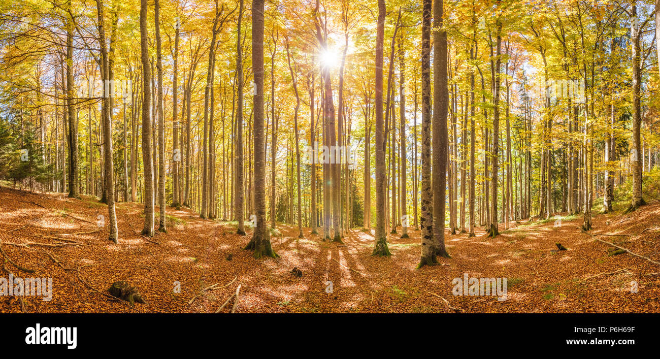 October background hi-res stock photography and images - Alamy