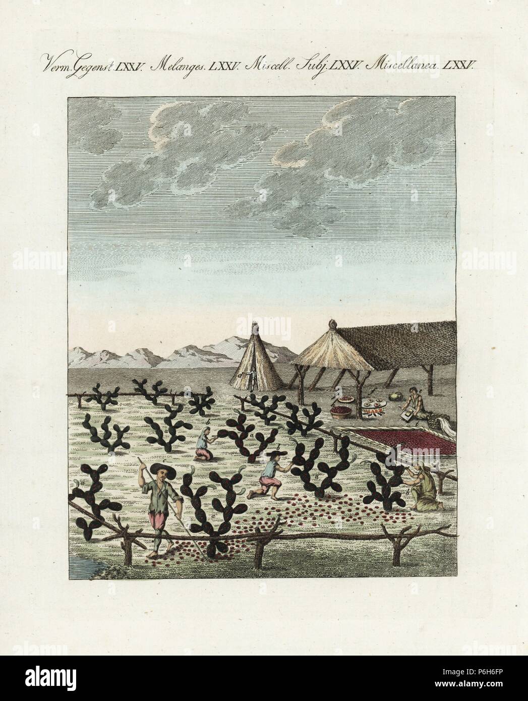 German farmers 18th century hi-res stock photography and images - Alamy