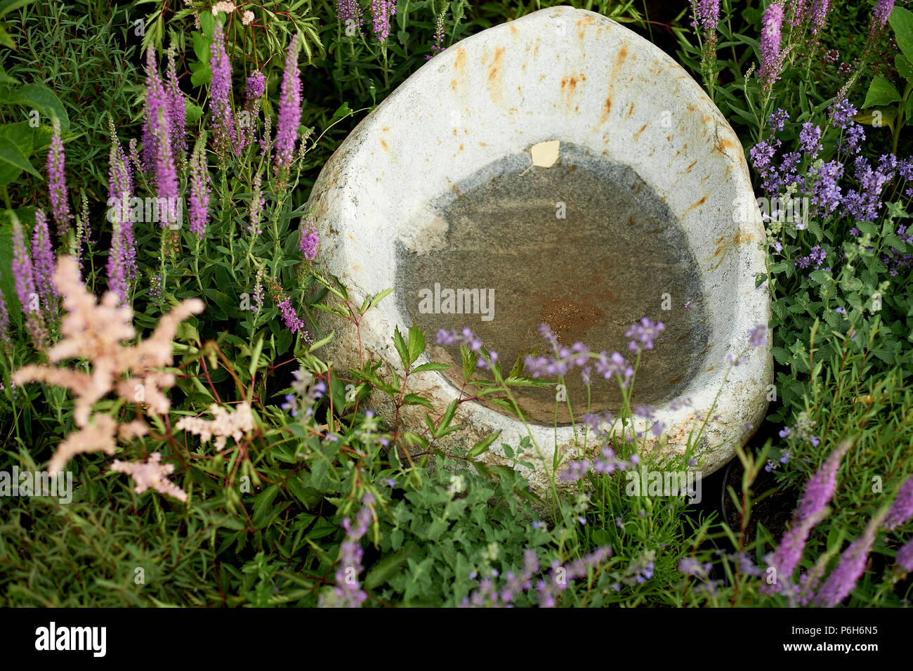 Stone with a recess for water, stone vessel for garden decor, Park ...