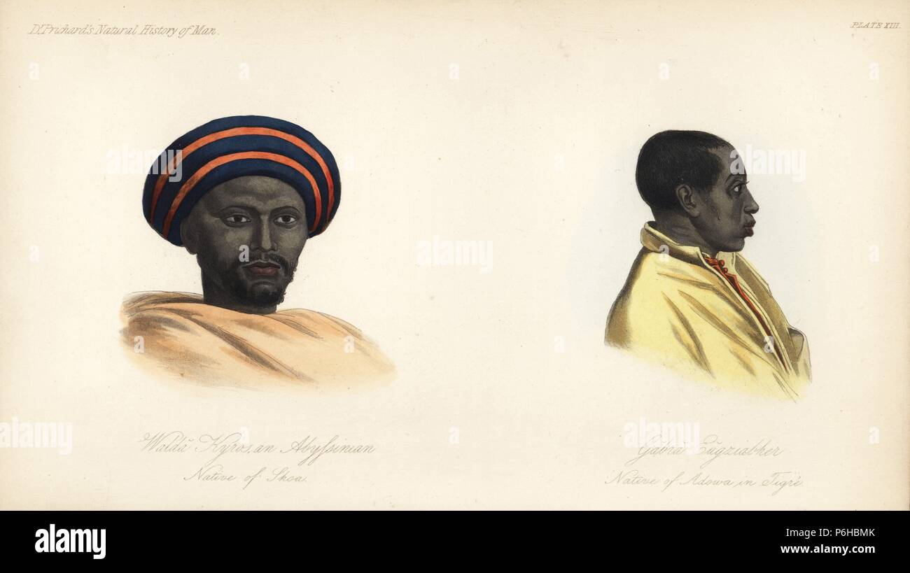 Tigre indigena hi-res stock photography and images - Alamy