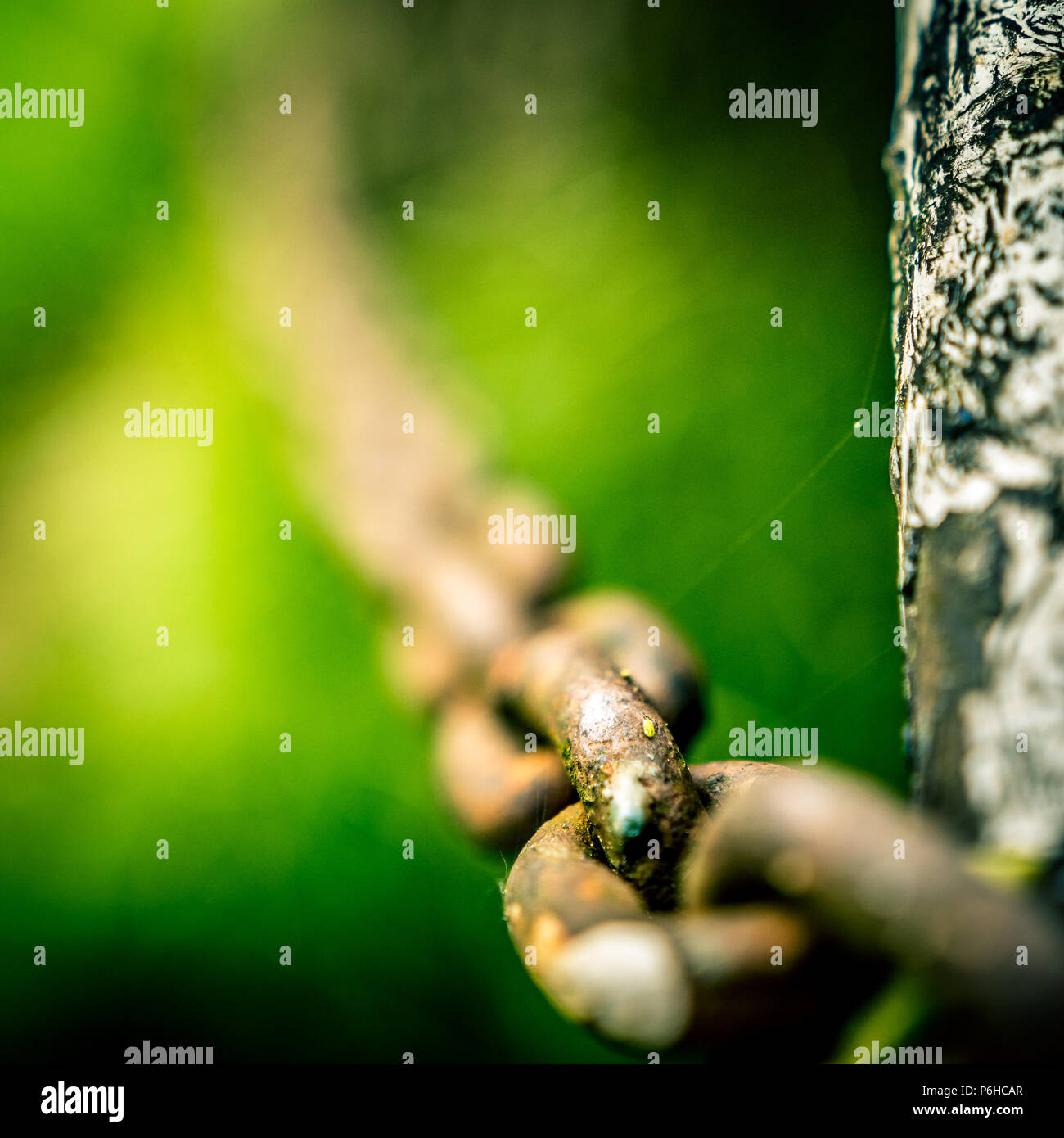 Aged chain link fence hi-res stock photography and images - Alamy