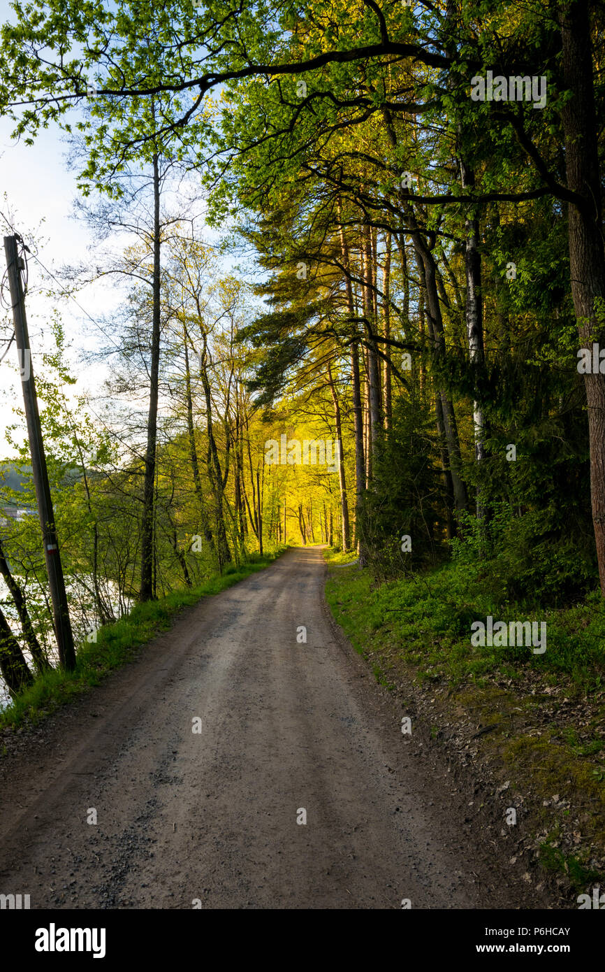 Green daylight path hi-res stock photography and images - Alamy