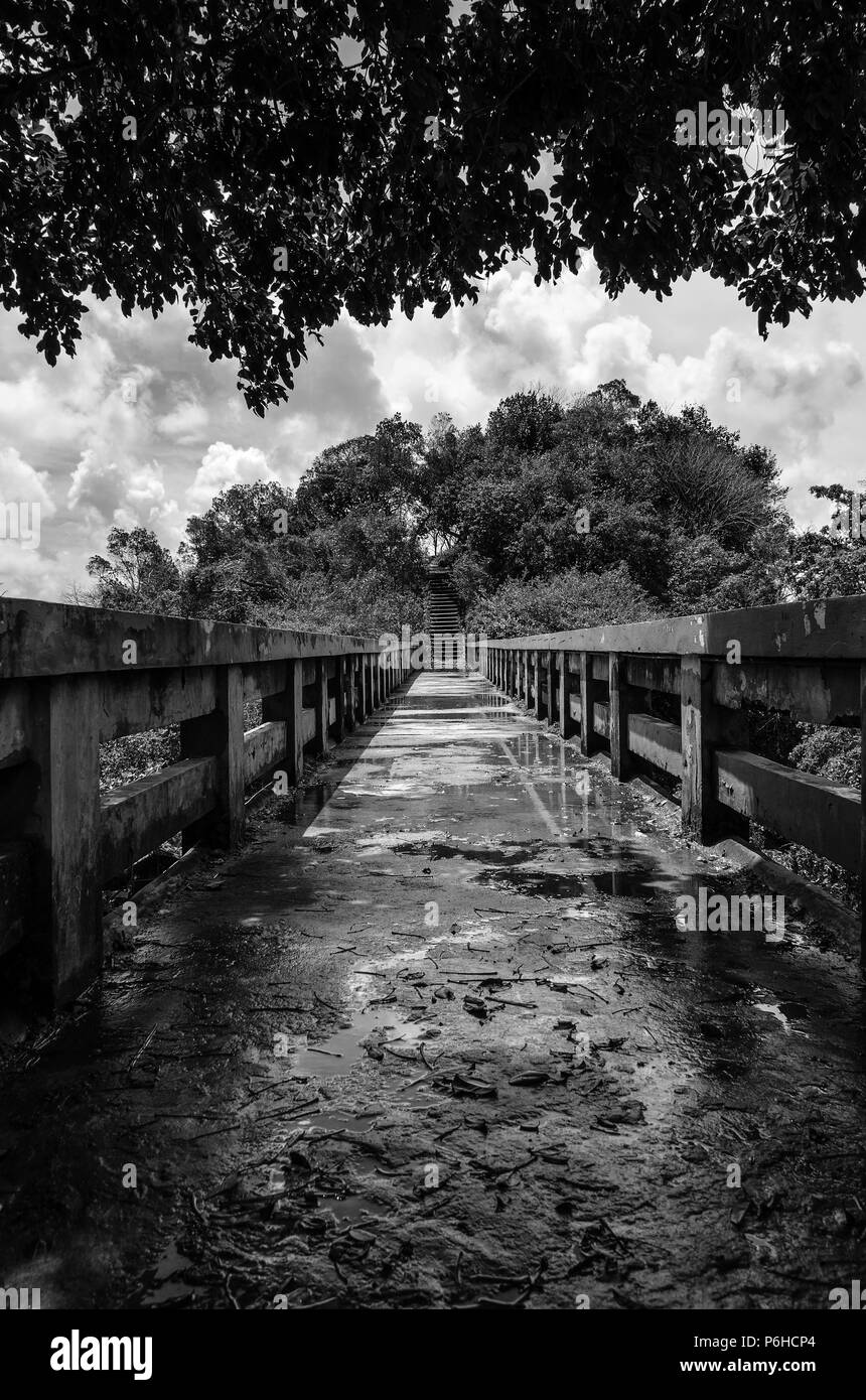 Bridge with trees Stock Photo - Alamy
