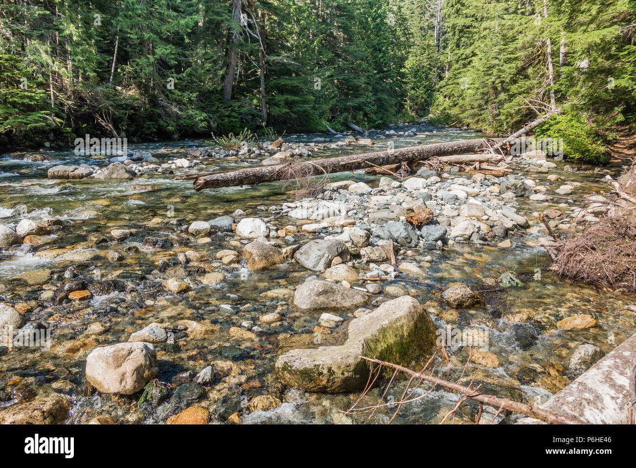 A landscape shot of Denny Creek in Washington State. Rocks and logs can ...