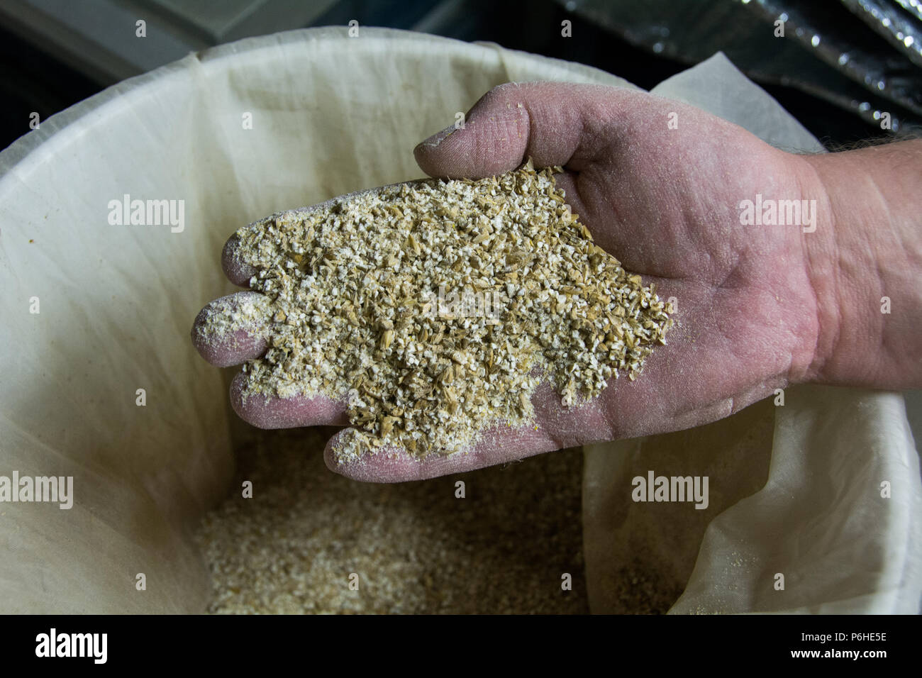 Showing a hand full of freshly milled malt . Milled into a mesh bag ...