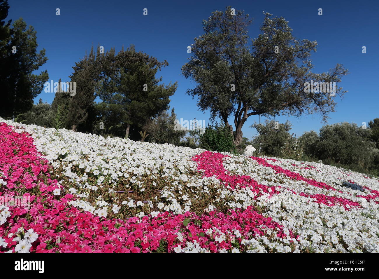Yemin moshe neighbourhood hi-res stock photography and images - Alamy