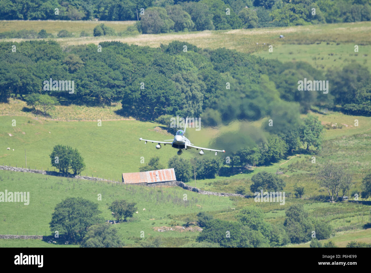 Eurofighter EFA-T.3 Typhoon Stock Photo - Alamy