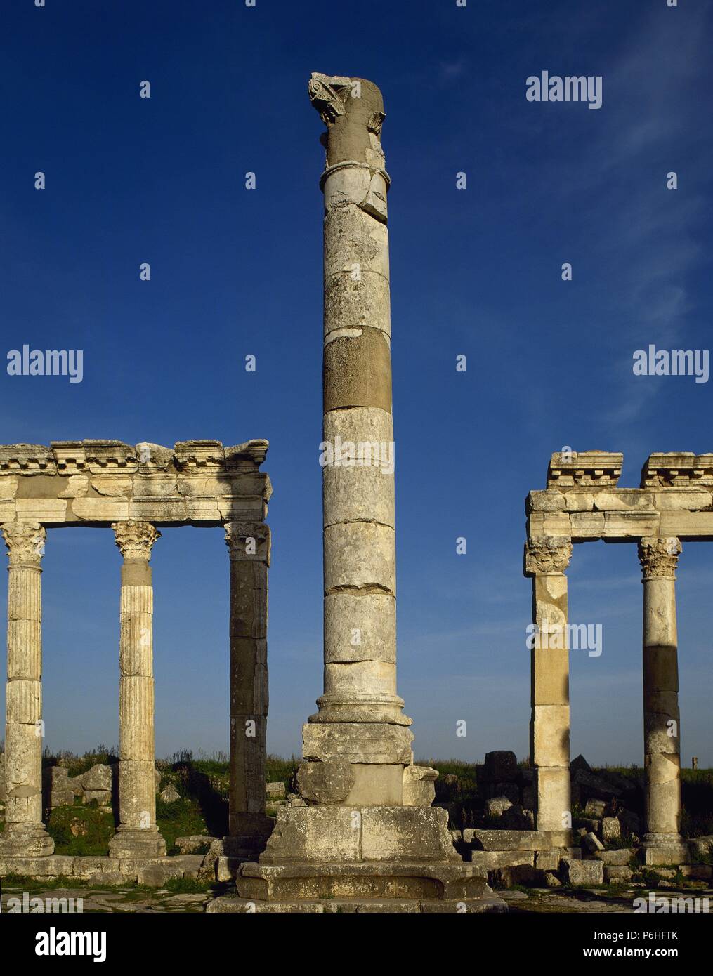 Roman Art. Syria. Apamea. Middle East. Monumental Column and Colonnade ...