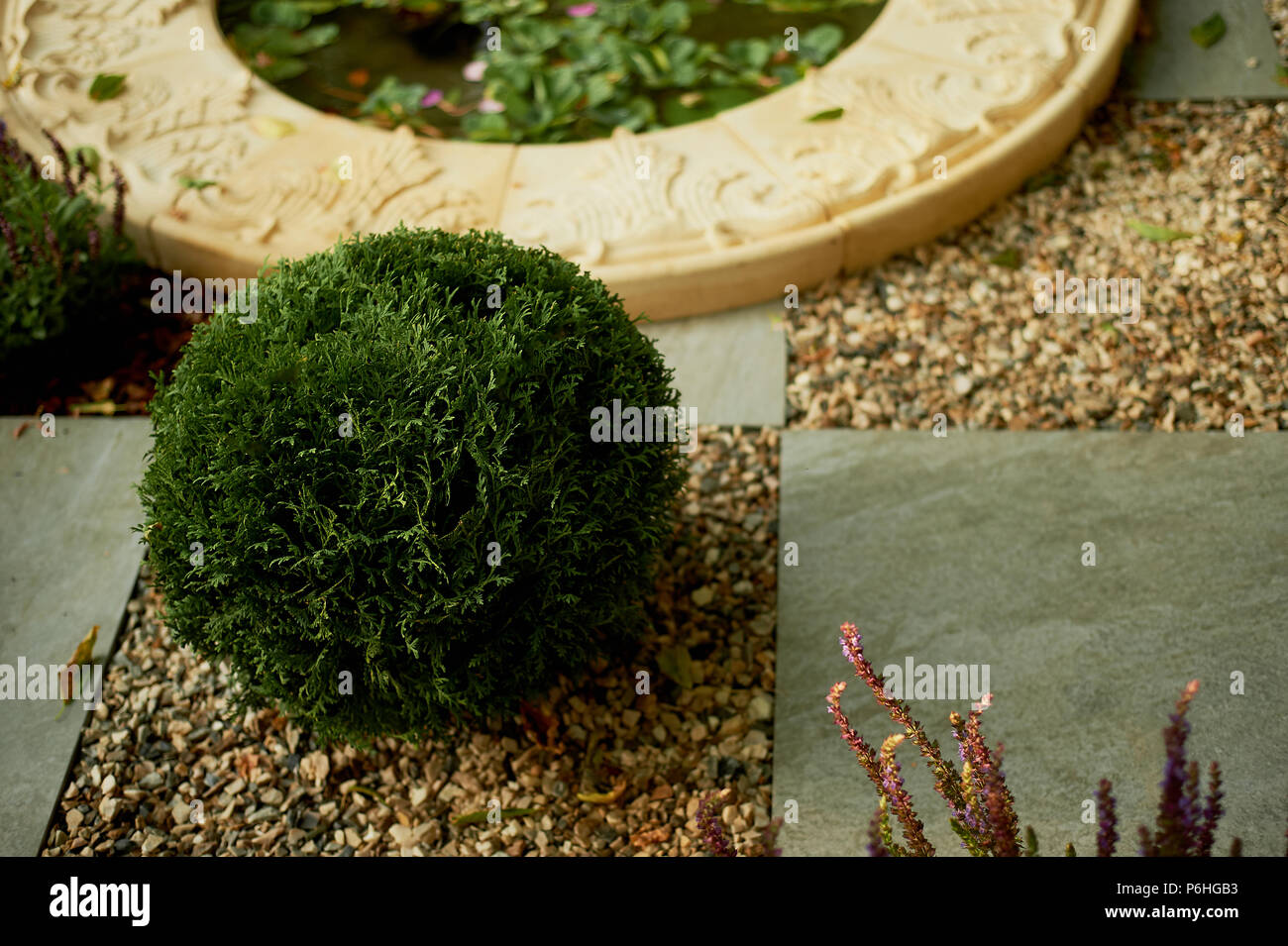 Trimmed bushes detail hi-res stock photography and images - Alamy