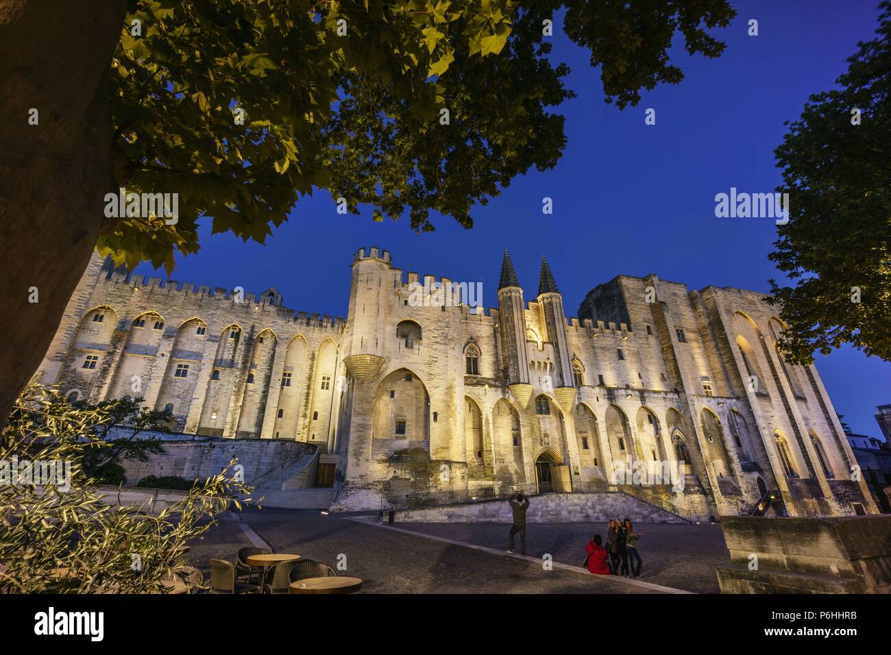Palacio de los Papas, gotico medieval,Avignon,Francia, Europa Stock ...