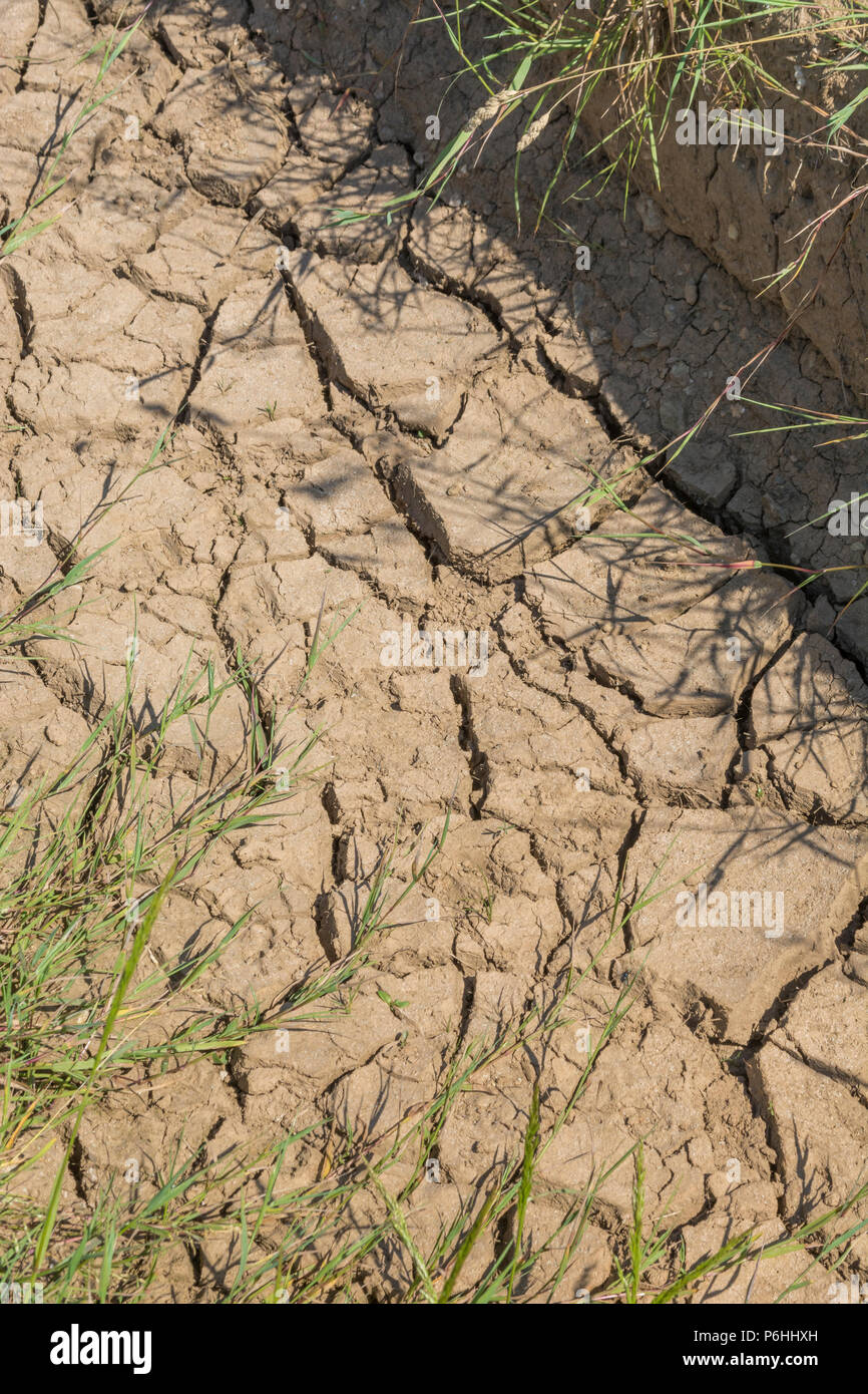 Dry water channel at field edge. For UK water shortage, climate change ...