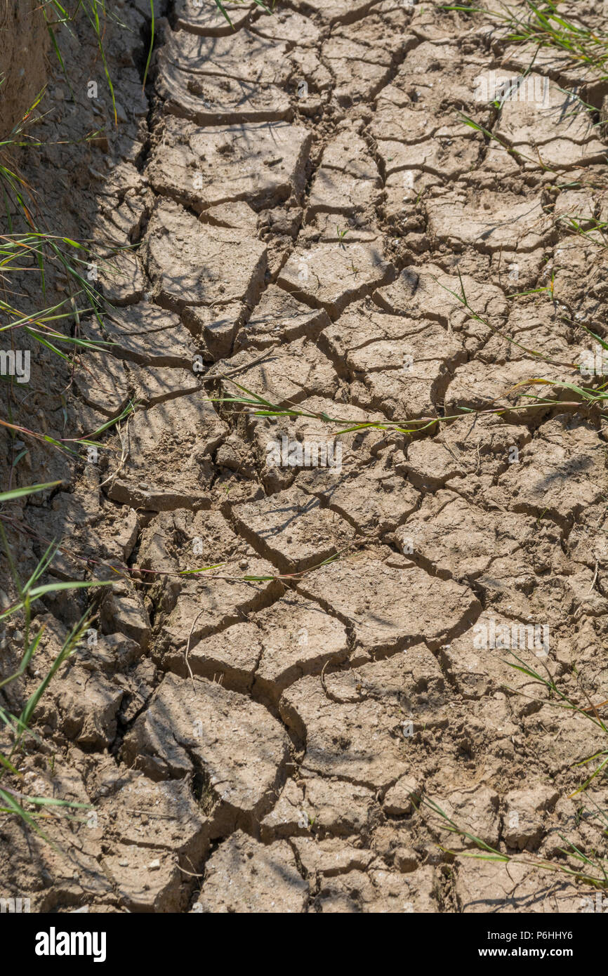 Dry water channel at field edge. For UK water shortage, climate change ...
