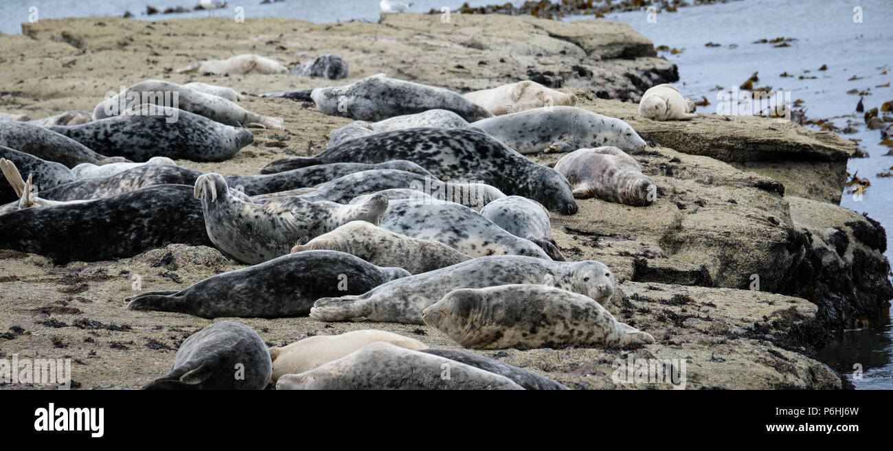 Peak Alum Works Ravenscar High Resolution Stock Photography and Images ...