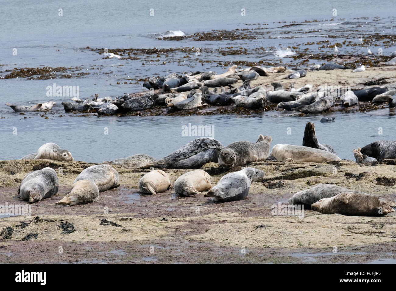 Peak alum works ravenscar hi-res stock photography and images - Alamy