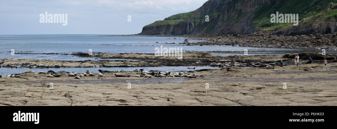 Alum works ravenscar hi-res stock photography and images - Alamy