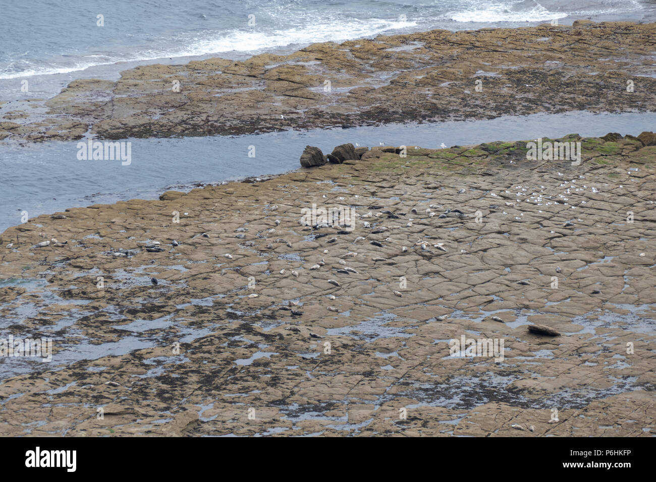 Peak alum works ravenscar hi-res stock photography and images - Alamy
